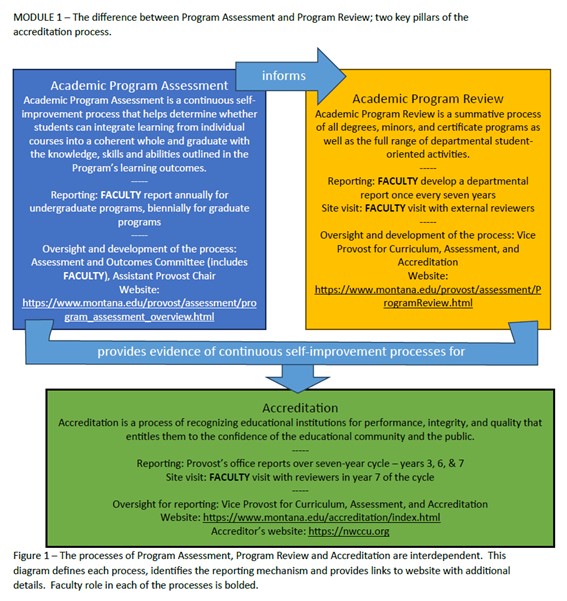 Module 1 The difference between Program Assessment, Program Review, and Accreditation Review ...